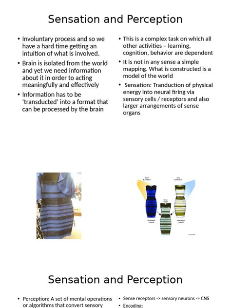 Human Behavior 8 Sensation And Perception Pdf Senses Perception