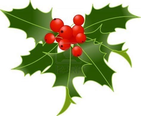 Holly Clipart Free Clipart 3108527 Clipart Library