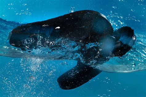 Footwear Erl Clothing