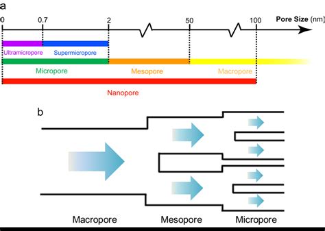 A Iupac Classifications Of Pores Based On Pore Width B Schematic Download Scientific