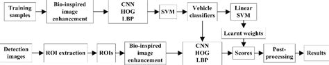 Figure 1 From Nighttime Vehicle Detection Based On Bio Inspired Image Enhancement And Weighted