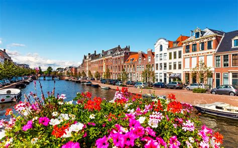 Haarlem Things To Do And Travel Guide
