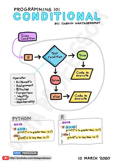 Data Professor An Infographic On Conditional Statements