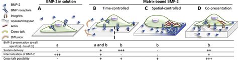 Schematic Representation Of Different Material Surfaces Approaches To