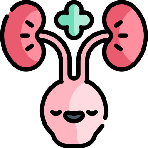 Urology Kawaii Lineal Color Icon