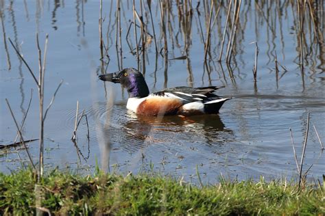 Removing Fuzy Foreground Not Ipad Pre V2 Archive Of Desktop Questions Macos And Windows