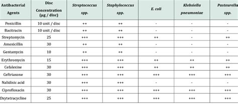 Antibacterial Sensitivity Pattern Of Isolated Bacteria Download Table