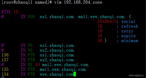Dns详解dns Zone Csdn博客