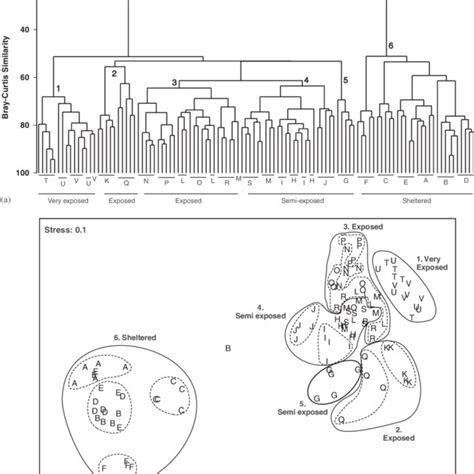 A Dendrogram Showing Hierarchical Cluster Analysis And B Mds Plot