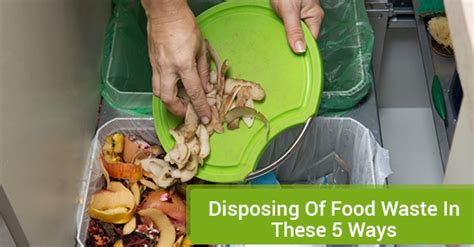 5 Tips For Disposing Of Food Waste Gorilla Bins Toronto