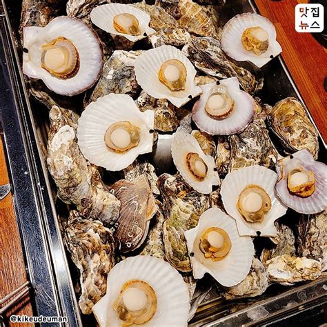 맛집뉴스 바야흐로 굴의 계절 겨울 올겨울 마지막 굴사냥은 여기서 합시다 원효굴찜 크고 신선함 합격~