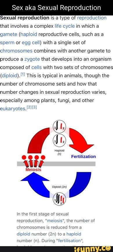 Sex Aka Sexual Reproduction Sexual Reproduction Is A Type Of Reproduction That Involves A