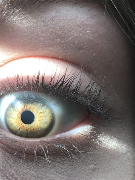 Eye Results Vs Reality R 23andme