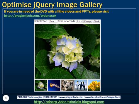 Sql Server Net And C Video Tutorial Optimise Jquery Image Gallery