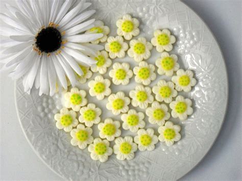 Daisy Mints 6 Dozen Cream Cheese Mints Etsy Cream Cheese Mints