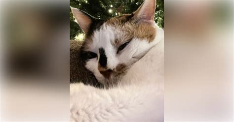 Obituary Information For Lucy Gardiner