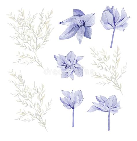 Ilustra O Do Conjunto De Cores Florais De P Ssego Para O Cart O De Casamento Flor De Boho Rosa