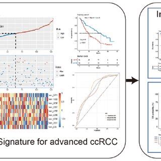 Schematic Diagram Of The Analysis Workflow Of The Study Download Scientific Diagram