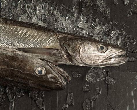 7 Mejores Pescados Para Freír En Casa Esenciadelmar