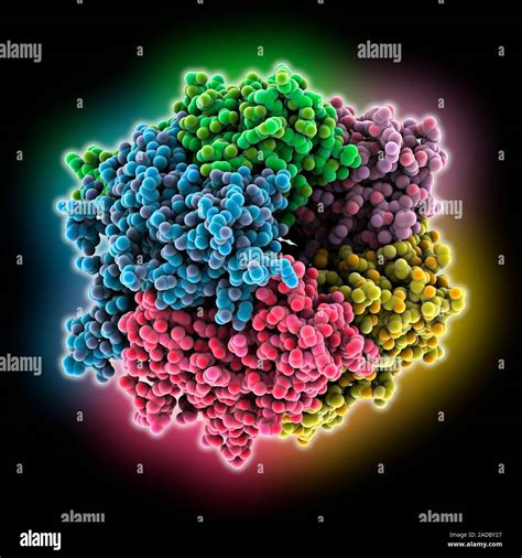 Acetylcholine Binding Protein Complex Computer Model Showing The Pentameric Structure Of An