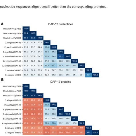 Pairwise Identity Matrices Between M Incognita Daf 12 Gene Candidate