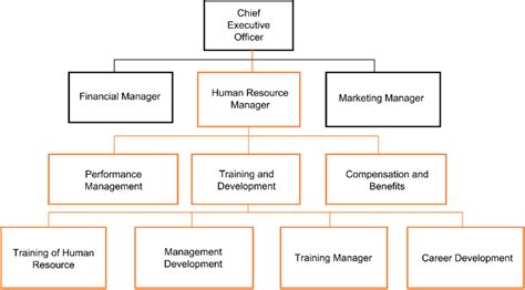 Human Resource Department Structure