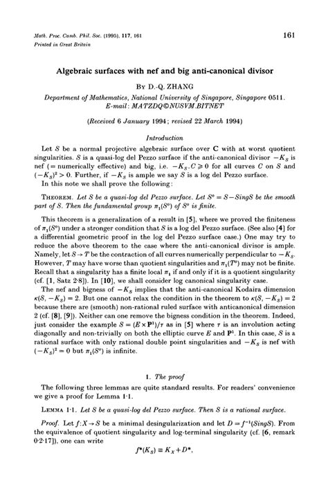 Pdf Algebraic Surfaces With Nef And Big Anti Canonical Divisor