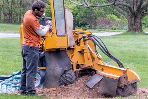 How Do Stump Grinders Work A Complete Guide To Stump Removal My