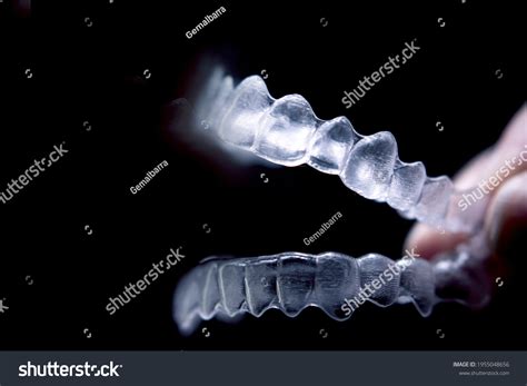 1510 Imágenes De Ferules Imágenes Fotos Y Vectores De Stock Shutterstock