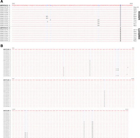 Sequence Alignment Using Clustalx A Alignment Of Amino Acid Sequences