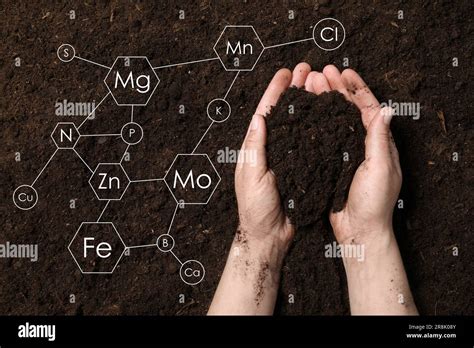 Woman Holding Pile Of Soil Above Ground Top View Scheme With Chemical