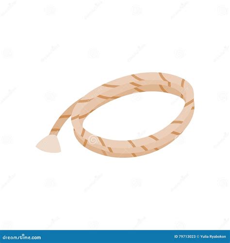 Lasso Isometric 3d Icon Stock Vector Illustration Of Rope 79713023