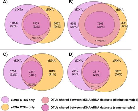 discovering the overlapping world of rna and dna with venn diagrams