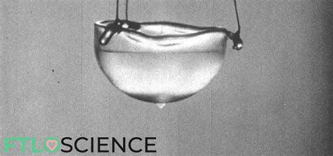 Relationship Between Wavelength Frequency And Energy Ftloscience