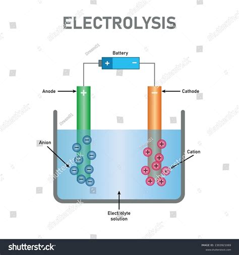 Electrolysis Water Diagram Battery Anode Cathode Stock Vector Royalty