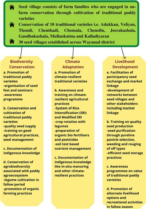 4 Methodology Adopted In Rice Seed Villages Source Prepared By Download Scientific Diagram