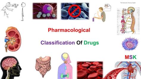 Classification Of Drugs Kt Tripati For Mbbs Bds Allied Notes Ppt