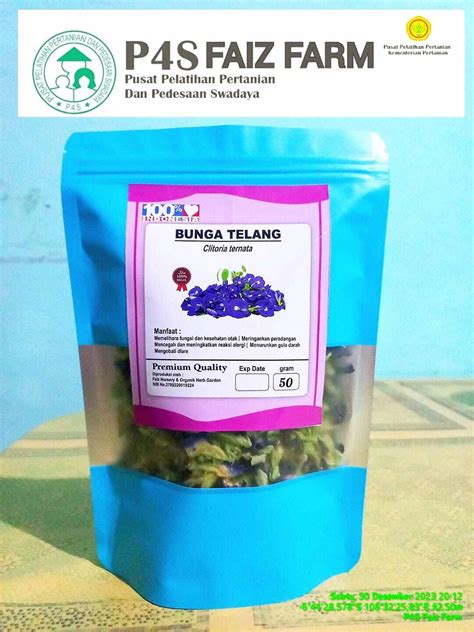 Teh Herbal Bunga Telang Lazada Indonesia