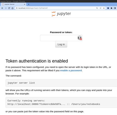 How To Work With JupyterLab Notebooks On Remote Servers In Your Local Machine Silico Studio
