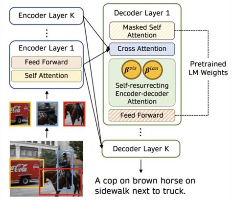 Vision Language Model Applications And Learning Strategies