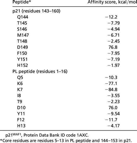 Comparison Of Binding Energies Of P21 Waf1 And Pl Peptides With Pcna Download Table