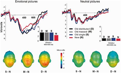 Experiment 2 Grand Average Erp Waveforms Over Centro Parietal Sensors