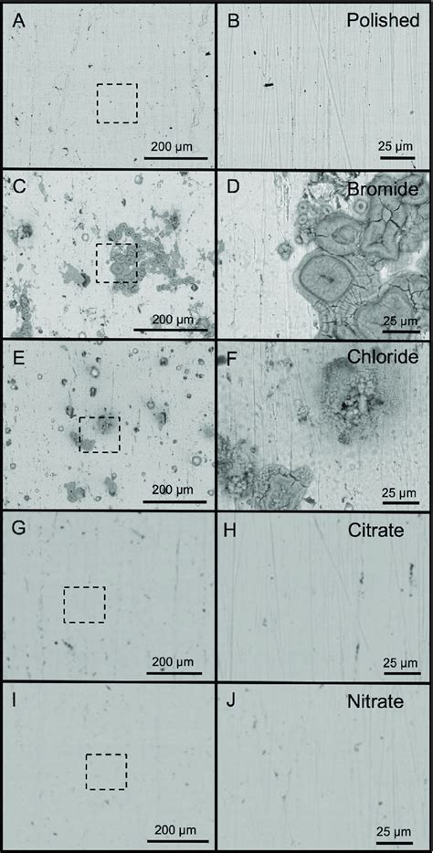 Scanning Electron Micrographs Of A Polished Fe0 Anode A And B And