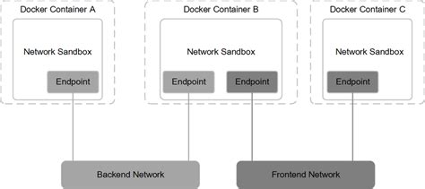 Container Network Model Showing The Back End And Front End Networks Download Scientific Diagram