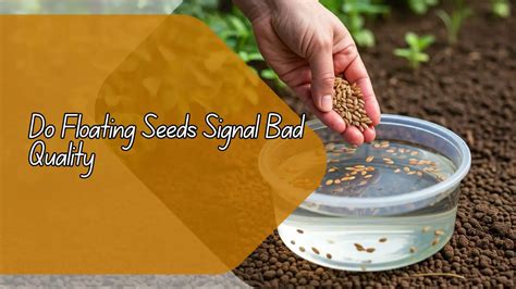 Do Floating Seeds Signal Bad Quality Debunking The Myth
