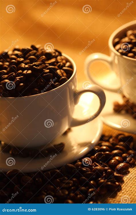 Ch Venas De Caf Cheias Dos Feij Es Foto De Stock Imagem De Marrom Cafeteria