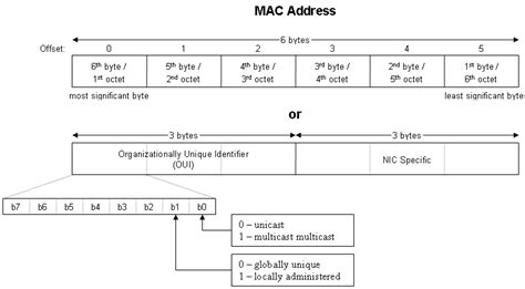 Comparison And Differences Between Mac Vs Ip Address