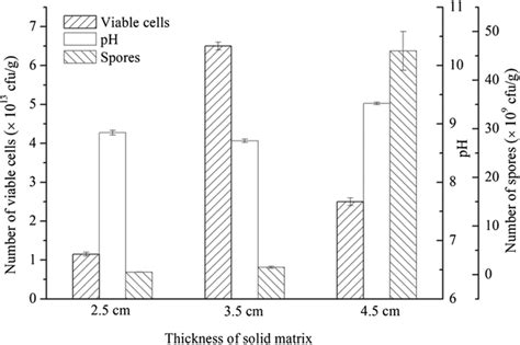Effect Of Solid Matrix Thickness On Cell Growth And Spore Production Of