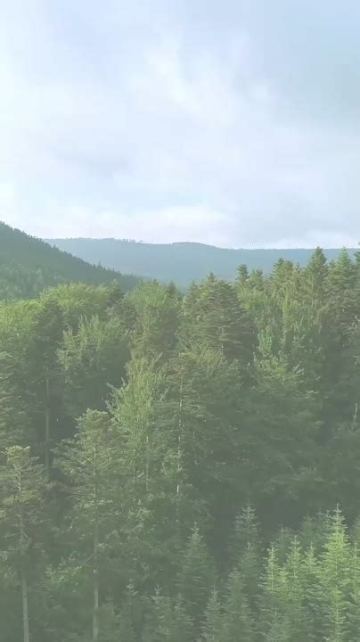 [video] Kristina Servidio On Linkedin Collegeadmissions Demonstratedinterest Collegeprep