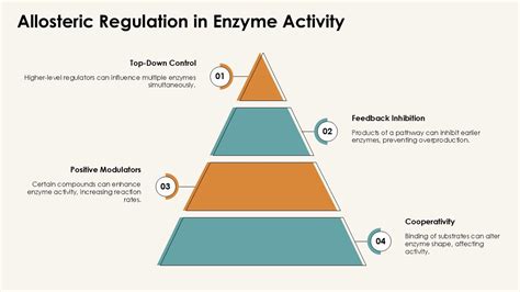 Allosteric Regulation In Enzyme Activity Michaelis Menten Equation Ppt Template St Ai Ss Ppt Sample